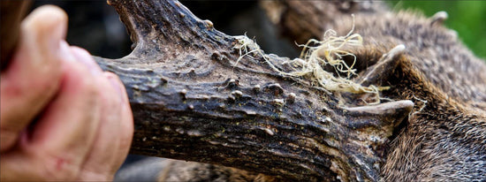 Hats/Apparel – Pure Whitetail