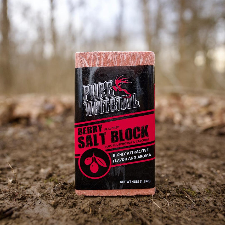 Best Deer Attractant Scents & Food Plot Seeds for Hunting – Pure Whitetail